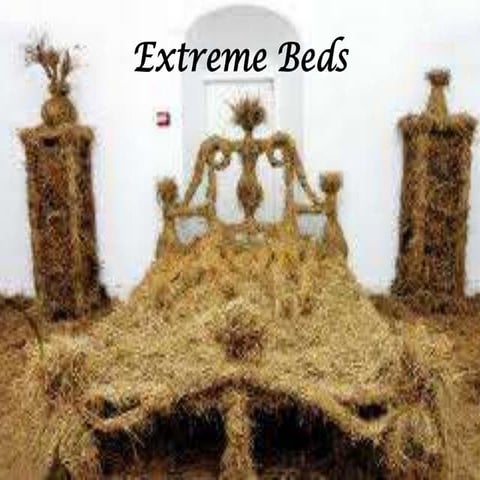 Extreme beds | PPTX