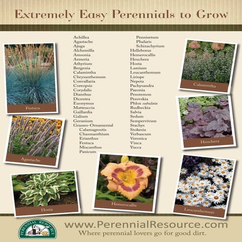 Extremely easy-to-grow | PDF | Gardening | Home & Garden