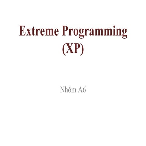 Extreme programming | PPT
