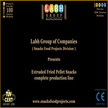 Extruded fried pellet snacks complete production line | PPT