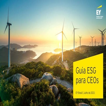 EY guia ESG para CEOs | PDF