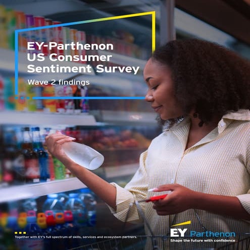 EY - Parthenon US Consumer Sentiment Survey 2025 | PDF