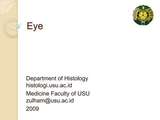5. eye histology.pptx | Eye and Vision Conditions | Diseases and Conditions