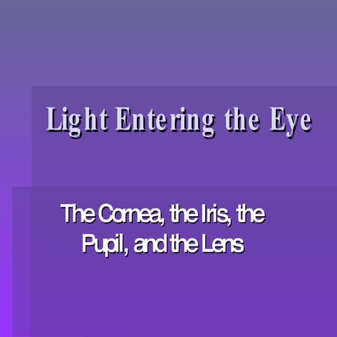 Eye | PPT
