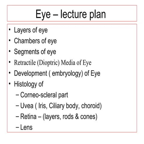 Eye | PPT