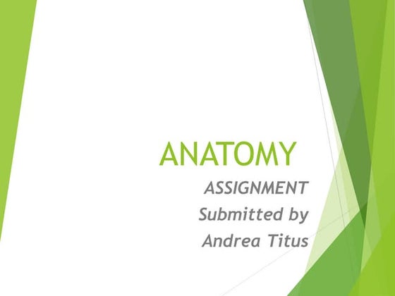 Anatomy of eye ppt | PPTX | Eye and Vision Conditions | Diseases and ...