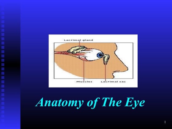 ppt on Eye anatomy | PPT