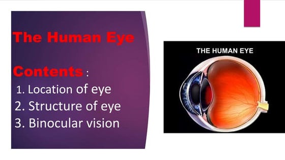 Diagram of sight | PPT