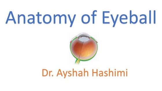 anatomy of the eyeball | PPT
