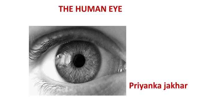 anatomy of the eyeball | PPTX