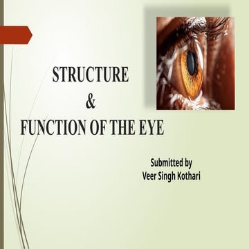 Structure and Function of the Eye | PPT