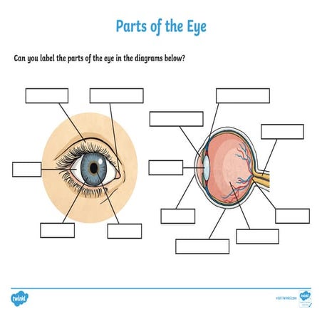 EYE.pdf