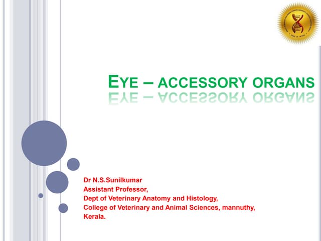 diagram of eye | DOCX