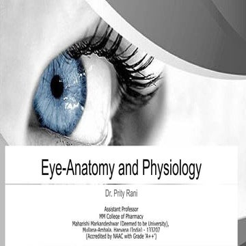 Eye Anatomy and Physiology: Exploring the Structure, Function, and ...