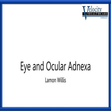 Eye-and-Ocular-Adnexa.pptx