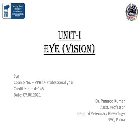 Eye-I-converted.pdf