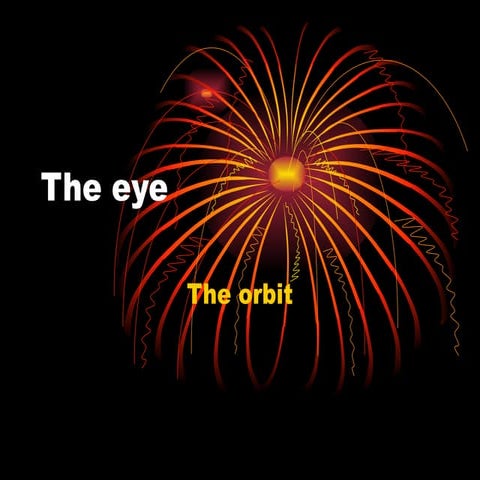 the eye orbit anatomy in ophthalmology.ppt
