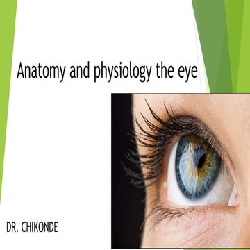 EYE ANATOMY and physiology quick overview | PPTX