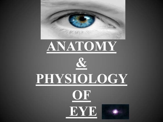 diagram of eye | DOCX