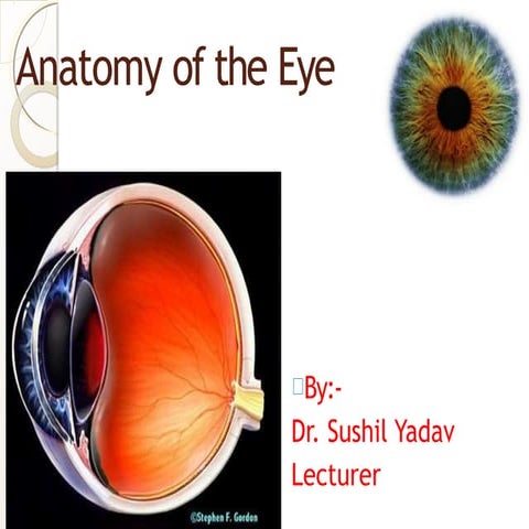 Physiology of eye | PPTX