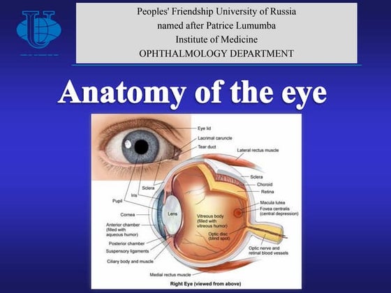 anatomy and physiology of eye | PPT