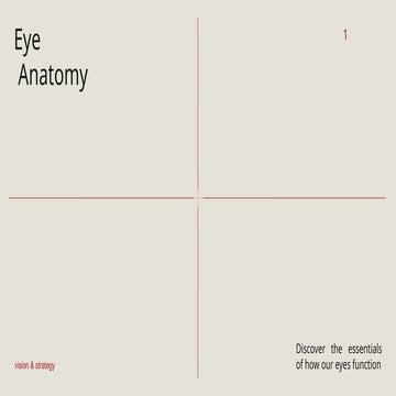 Eye Anatomy for basic understanding.pptx