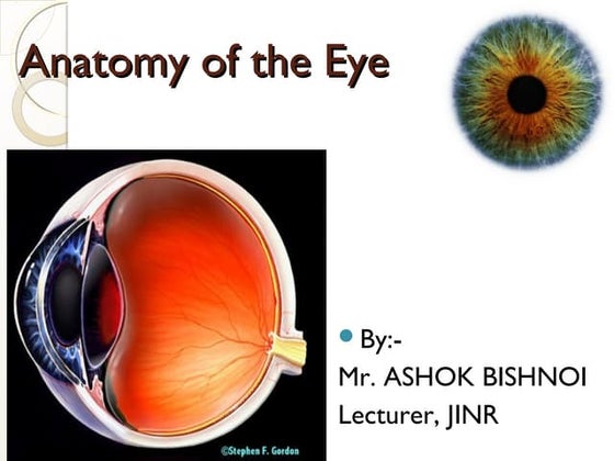Structure and Function of the Eye | PPT | Eye and Vision Conditions ...