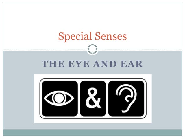 Eye and ear at a glance | PPTX