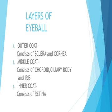 Eye Ball Anatomy | PPTX