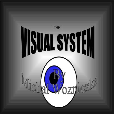 The Visual System | PPT