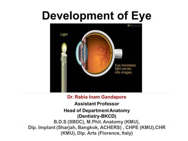 Embryology of eye | PPT