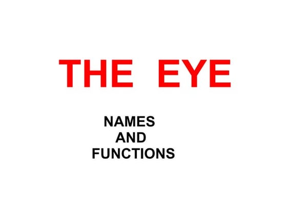 THE EYE names and functions year 6 | PPT