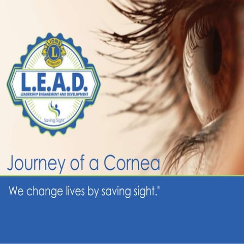 Eye Banking Operations | PPTX