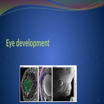 eye_embryology.pptx /eye development/neuroanatomy | PPTX