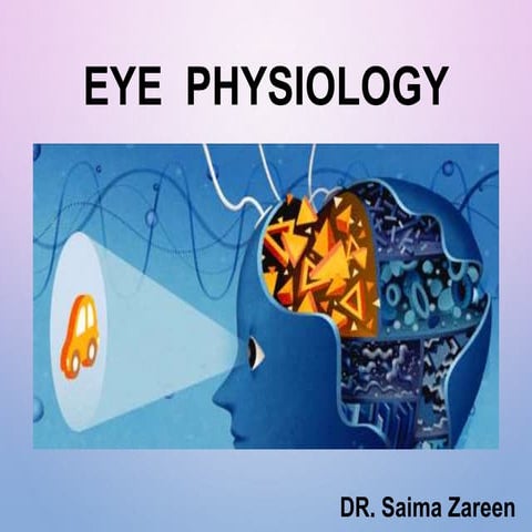 Eye physiology 1 bds.pptx physiology of eye | PPTX