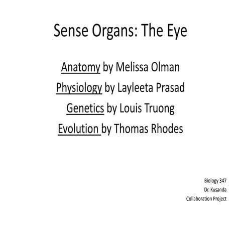 Eye powerpoint | PPTX