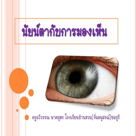 Eyepresent | PDF