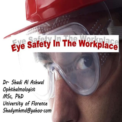 Eye protection in workplace | PDF