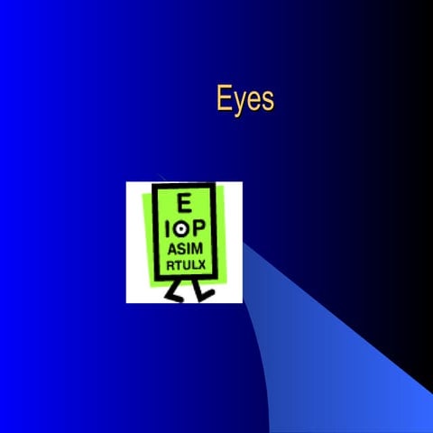 How to Perform a PERRLA Eye Assessment: Step-by-Step Guide for Health ...