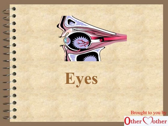 Mnemonics of Ophthalmology III | PPT