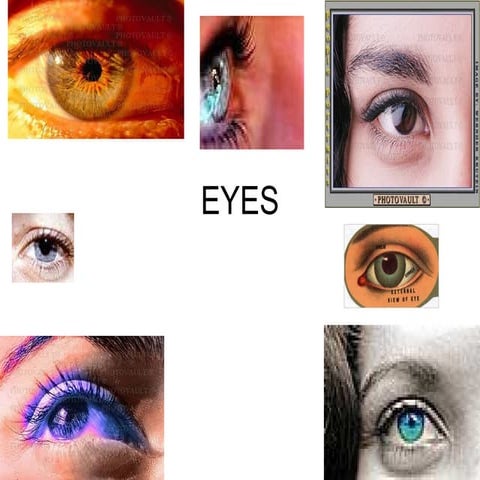 List of common ophthalmic abbreviations | PDF