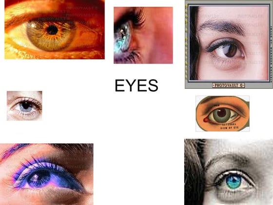 Abbreviations used in ophthalmology | PDF | Eye and Vision Conditions ...