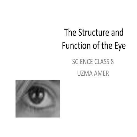 eye_structure_and_function_science__8.ppt