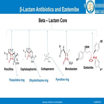 Ezetimibe and Other Beta Lactams SAR Degradation.pptx
