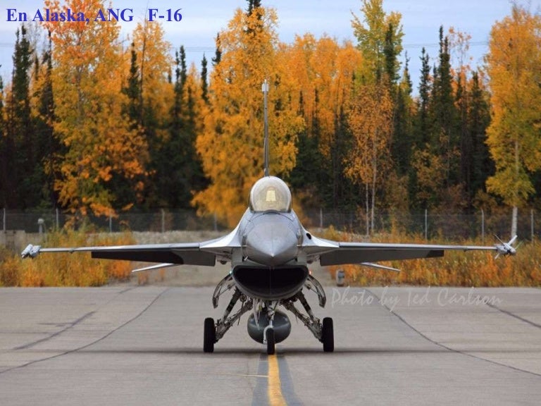 F-16 Hornet
