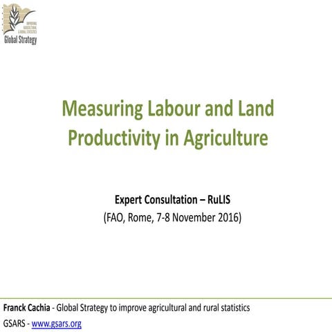 Land Labour Productivity (Franck Cachia, Global Strategy) | PDF