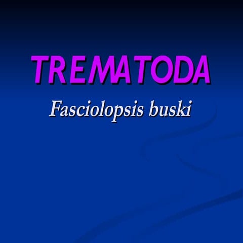 Reduviid bug And Chagas Disease | PPTX