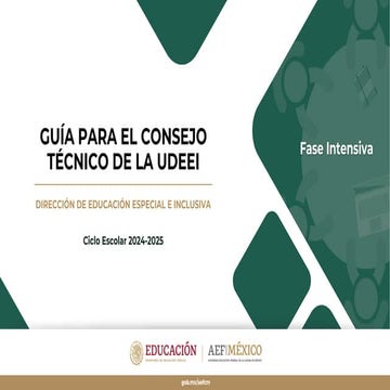 Marco técnico operativo UDEEI 16.agosto.24 vf.pdf