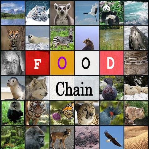 Unit One Classification Project Simplified 3 Minute Version