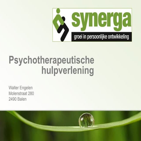 Synerga voorstelling 20150129 | PPT